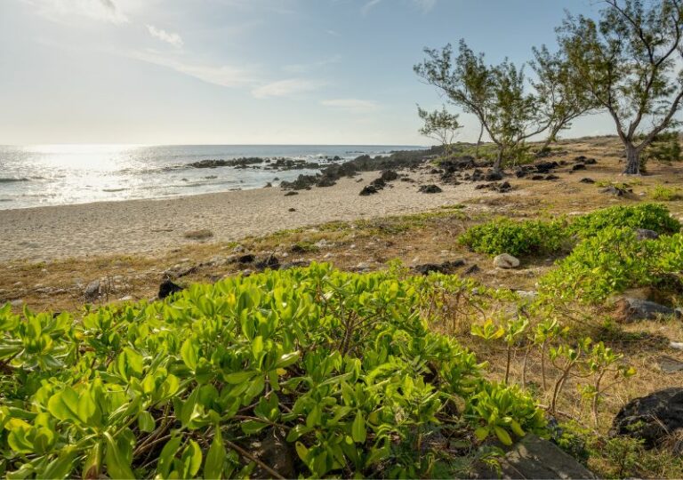 Le MOMA, Appart’hotel design à l’Ouest de La Réunion
